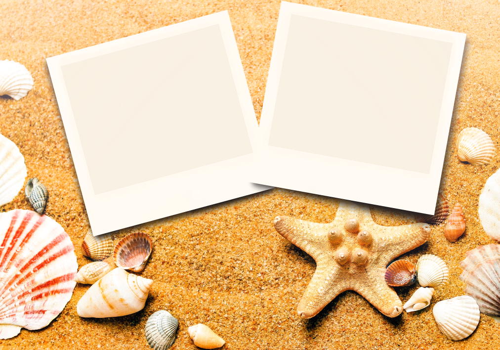 Alpha Channel: Formats With Transparency and Their Application — Clideo