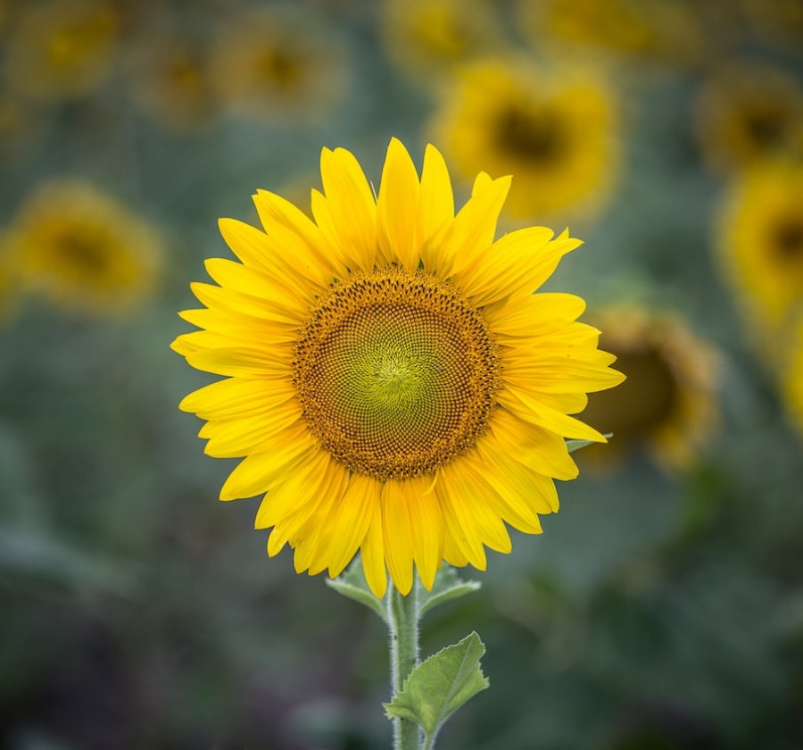 How To Brighten A Video Online And Free Clideo how-to-brighten-a-video-online-and-free-clideo