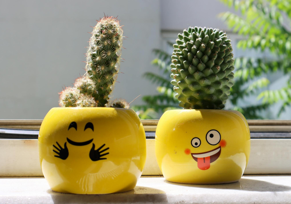 How to Add Emojis to Videos — Clideo