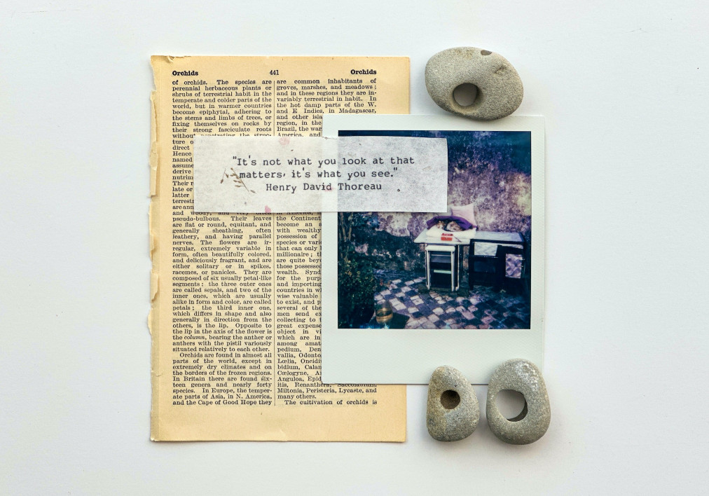 How to Make GIF Collage — Clideo