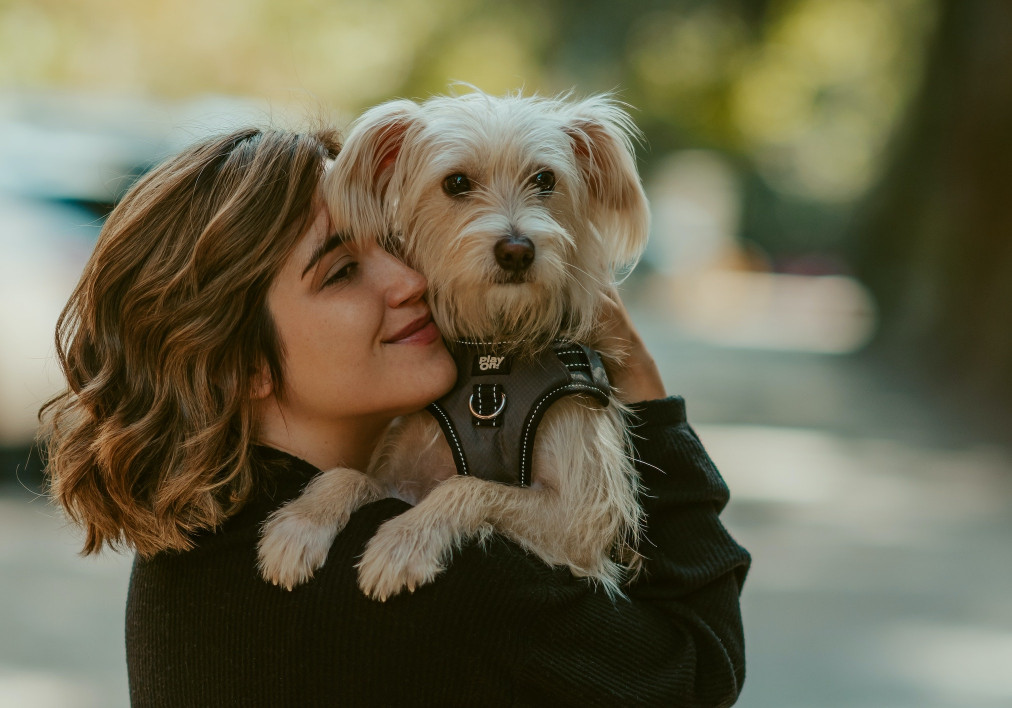 How to Make a Photo Slideshow — Clideo