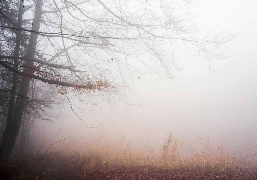 Letterbox, Pillarbox, and Windowbox Effects for Vloggers — Clideo