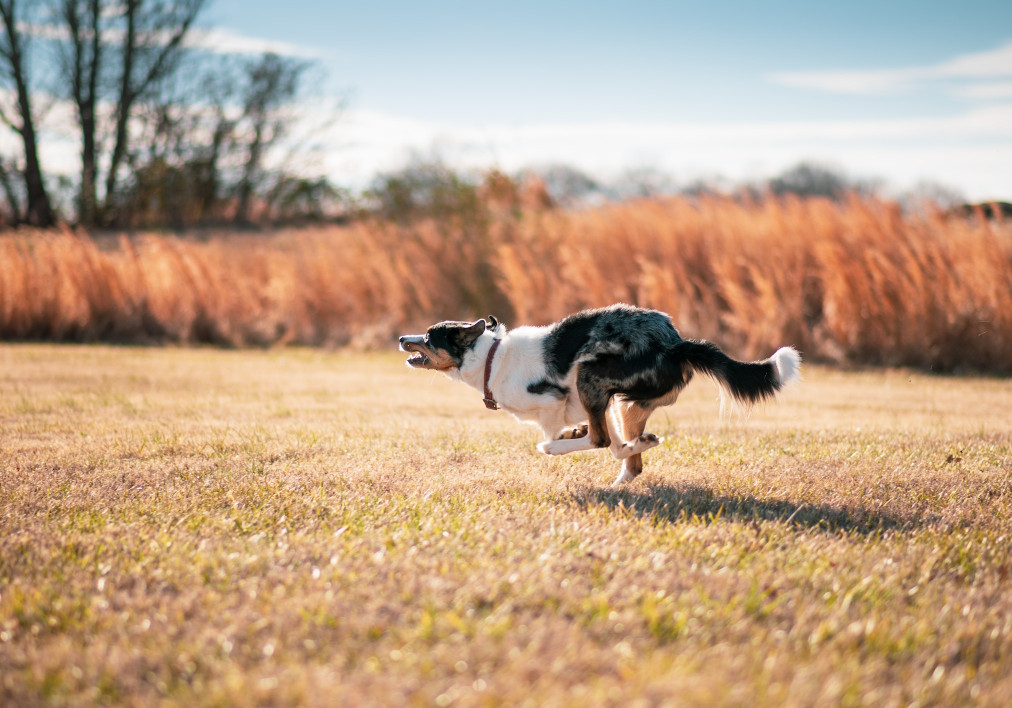 What Is Motion Tracking In Video Editing Clideo